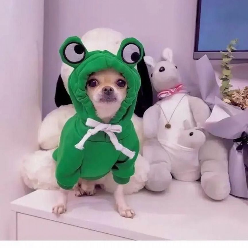 Костюм для маленькой собаки