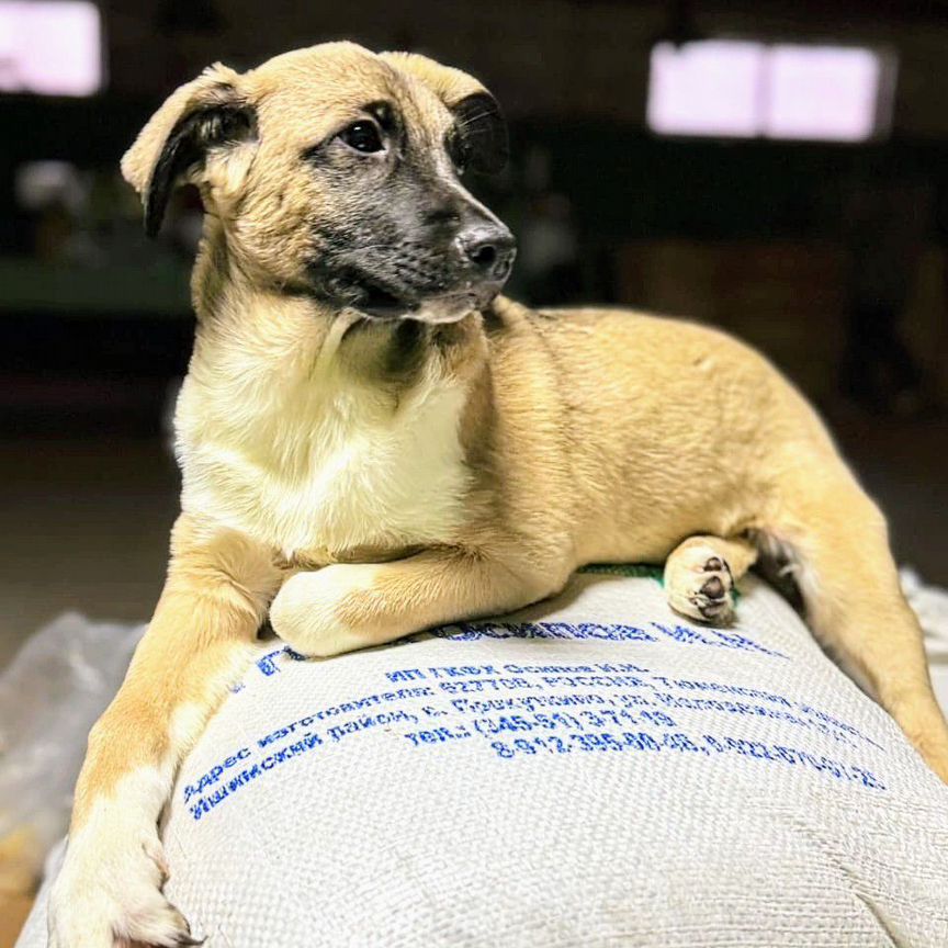 Мальчишка в приюте, помогите