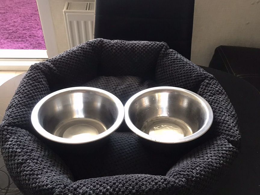 Лежанка для кошек бу