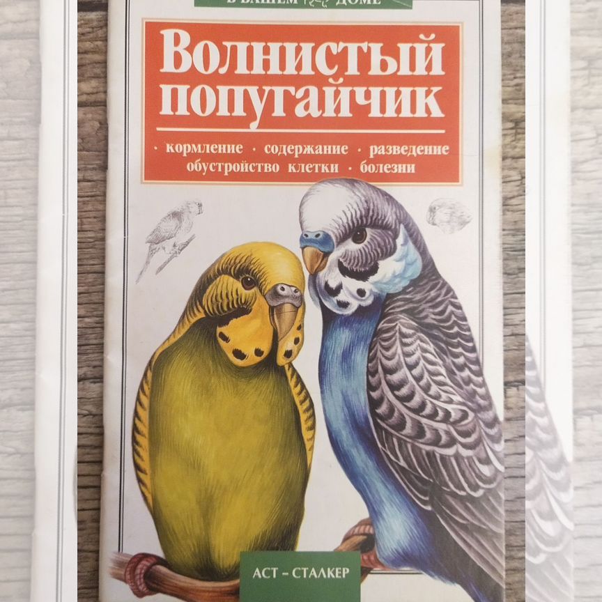 Волнистый попугай
