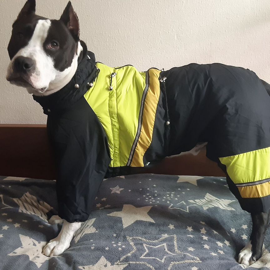 Теплый комбинезон для средних собак