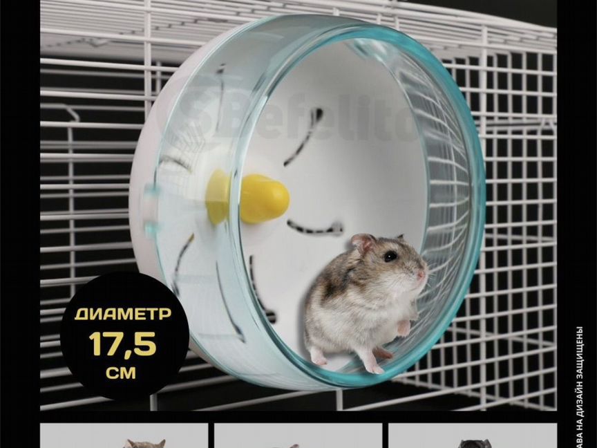 Вещи для хомяка
