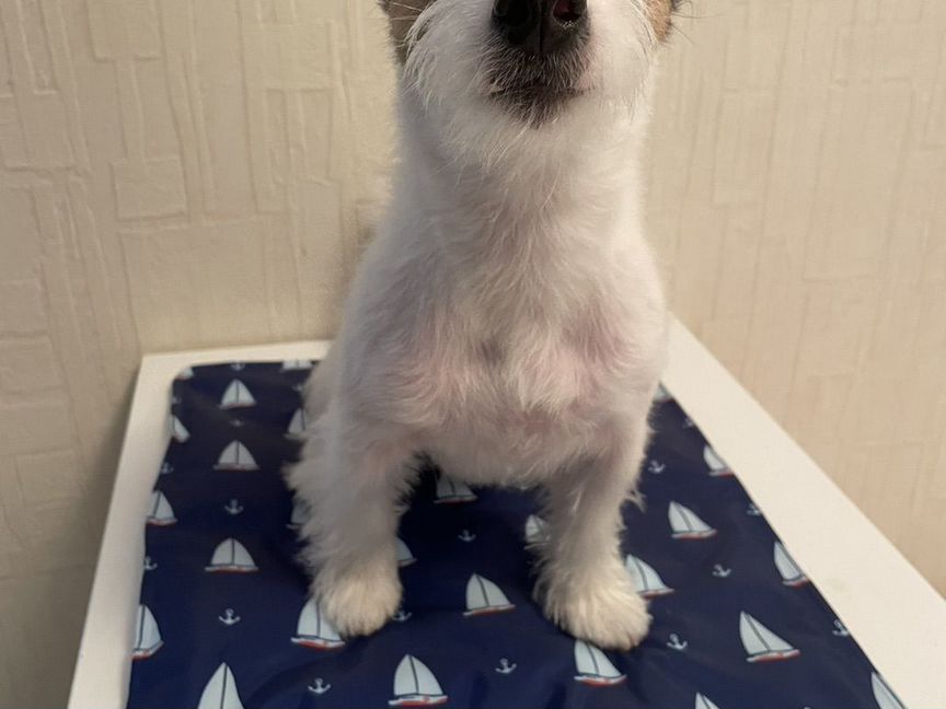 Охлаждающий коврик