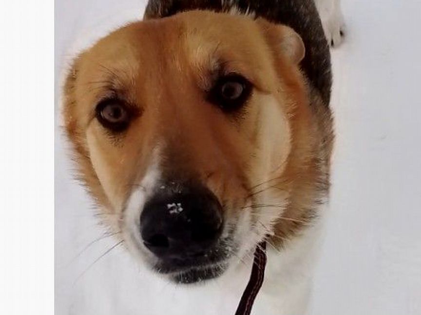 Чудо 9 мес, в добрые руки. Доставка