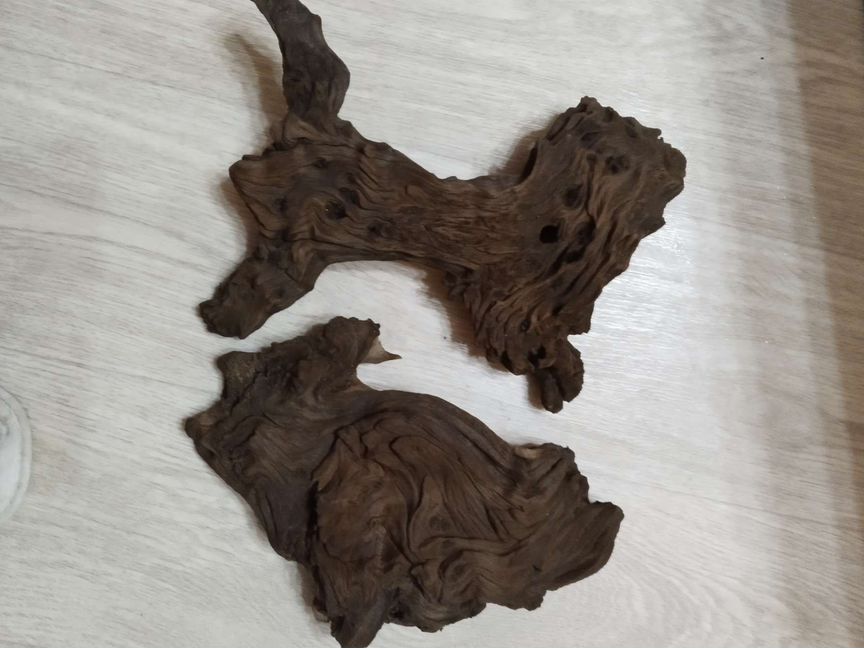 Коряги мангровые