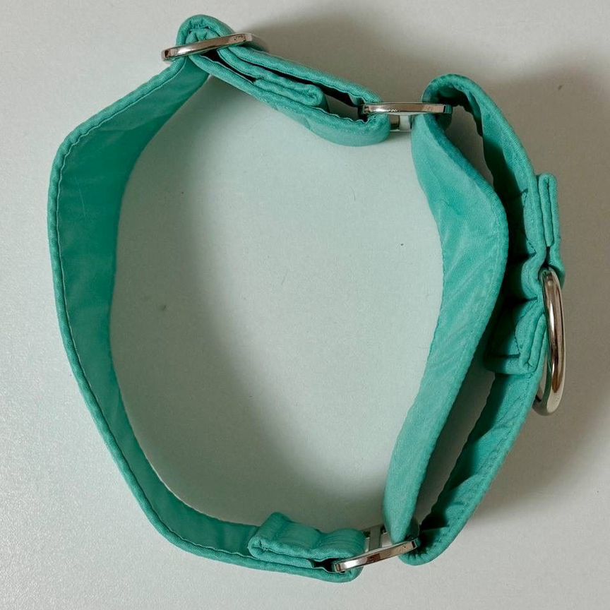Бирюзовый мартингейл ошейник для собак