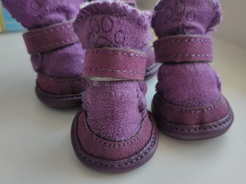 Ботинки для животных / обувь для собак