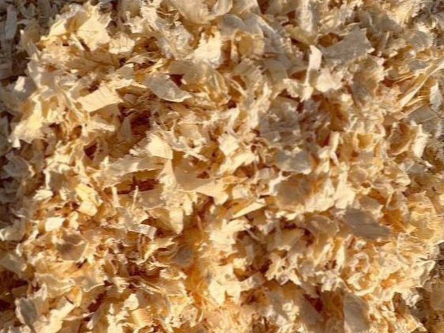 Древесная стружка оптом