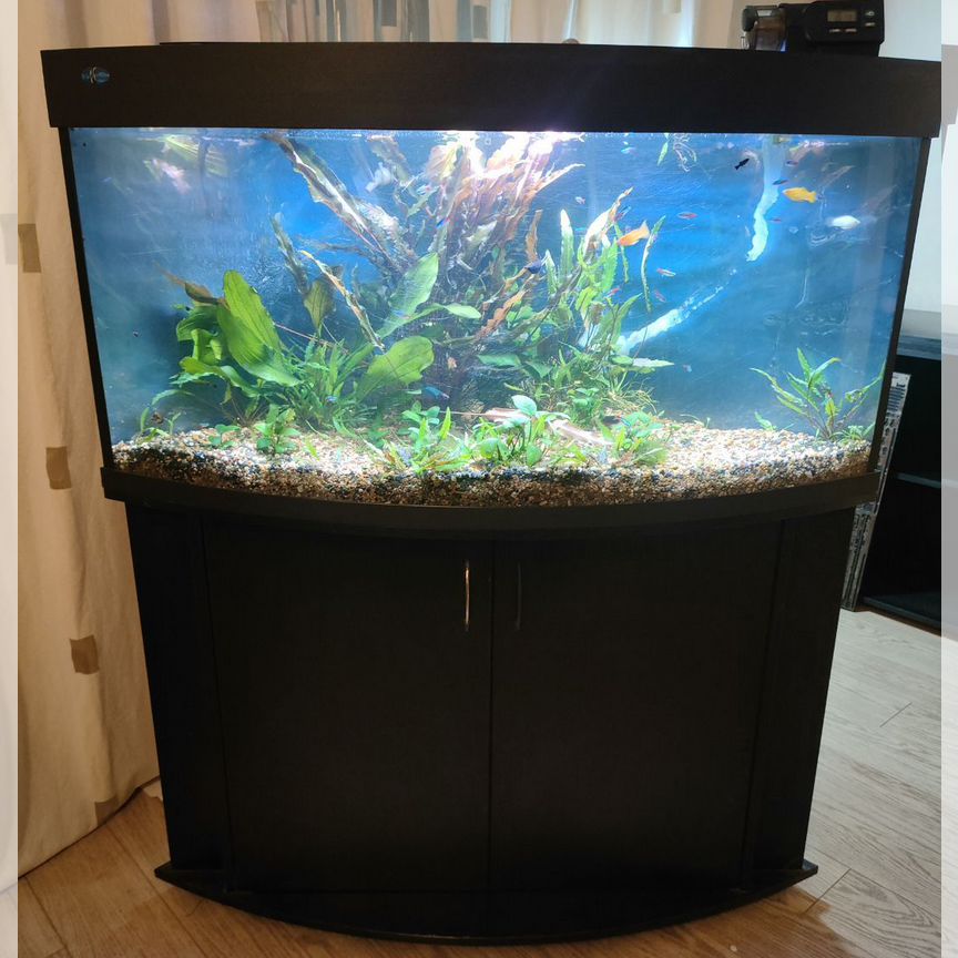 Аквариум угловой с тумбой 180 литров