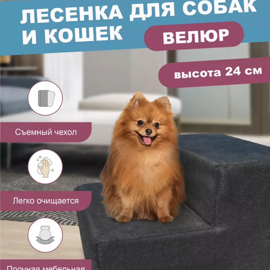 Лесннка для собак