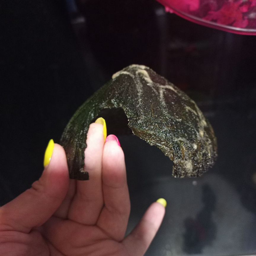 Гроты для аквариума