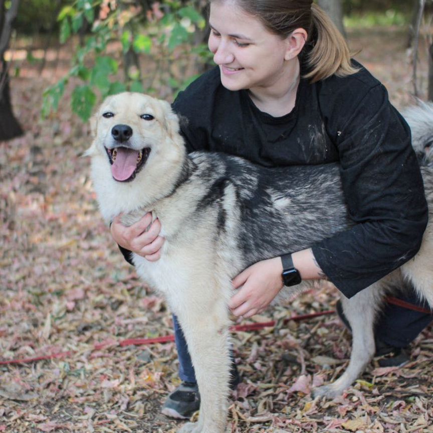 Нежный Брук мечтает о доме