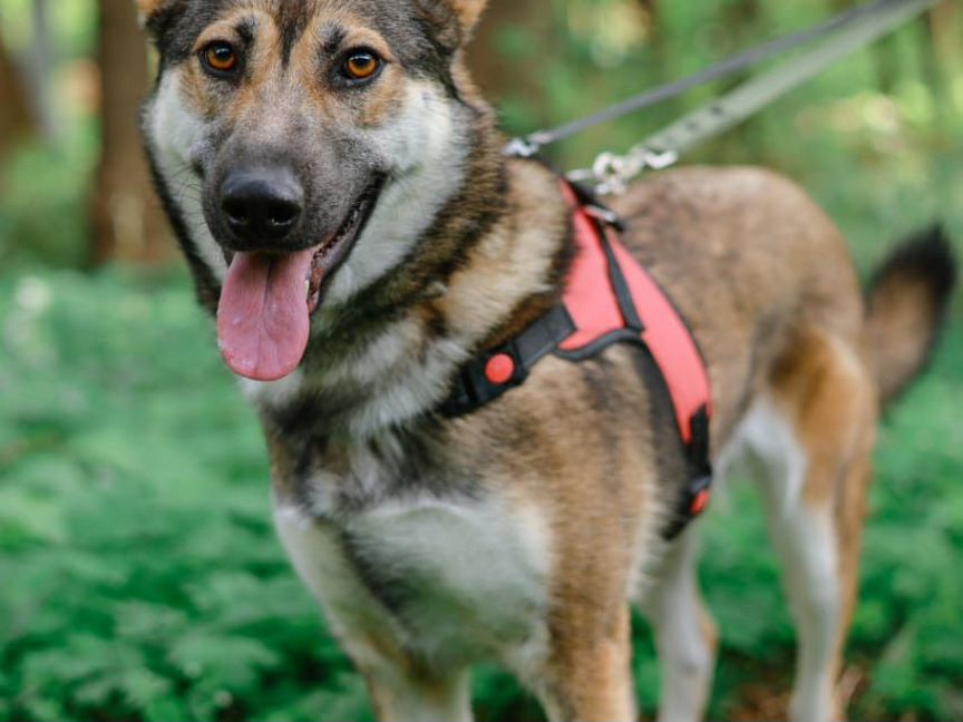 Ласковая Умка красавица ждет родителей