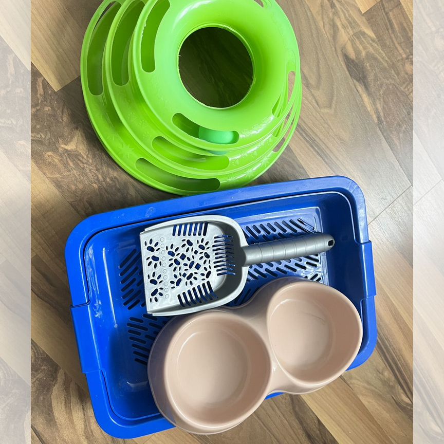 Лоток, миска, игрушка для котенка