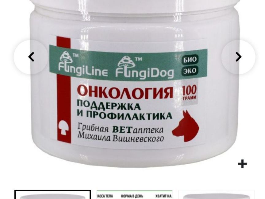 От онкологии у животных