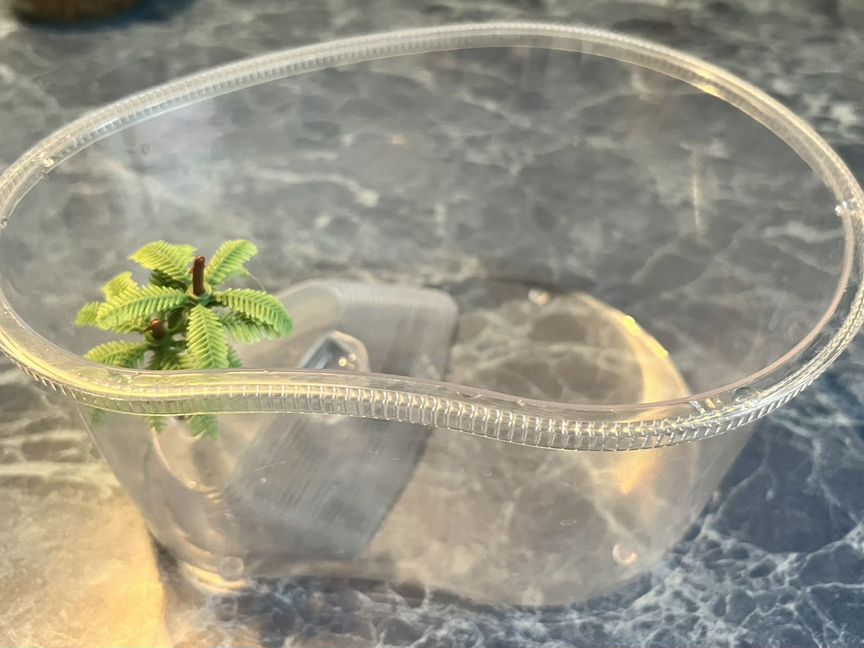 Черепашник-переноска