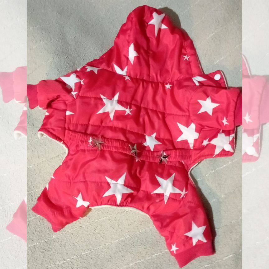 Одежда для маленьких собак