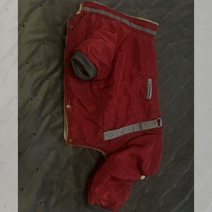 Одежда для собак средних