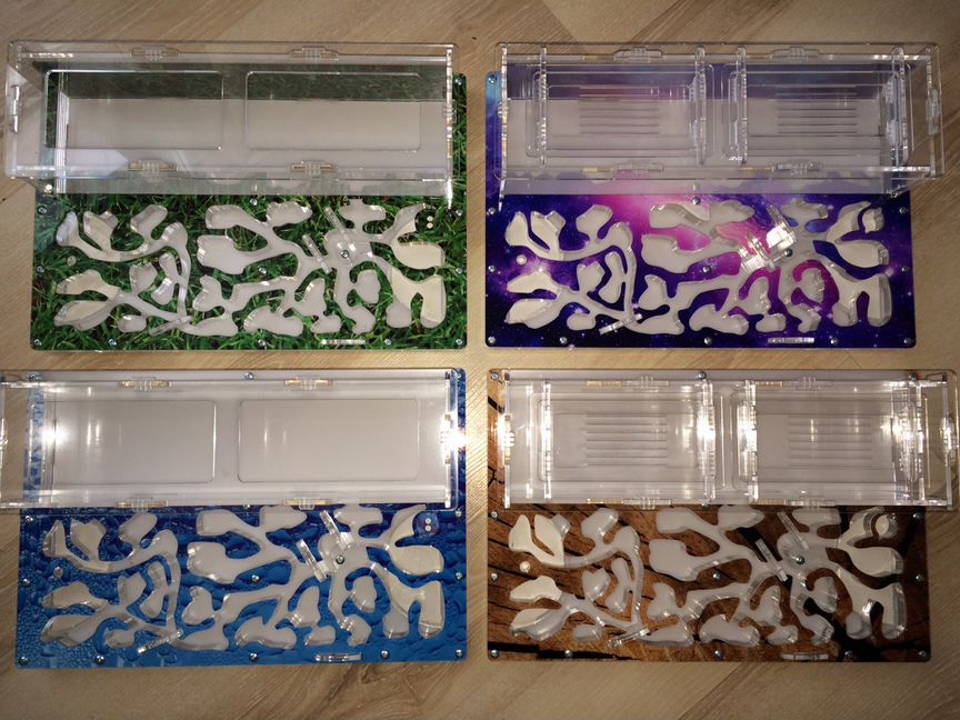 Формикарии Лес, Космос, Вода и Дуб