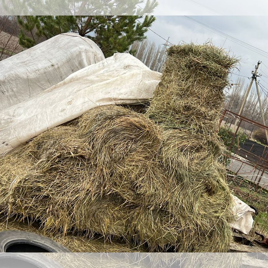 Сено в рулонах