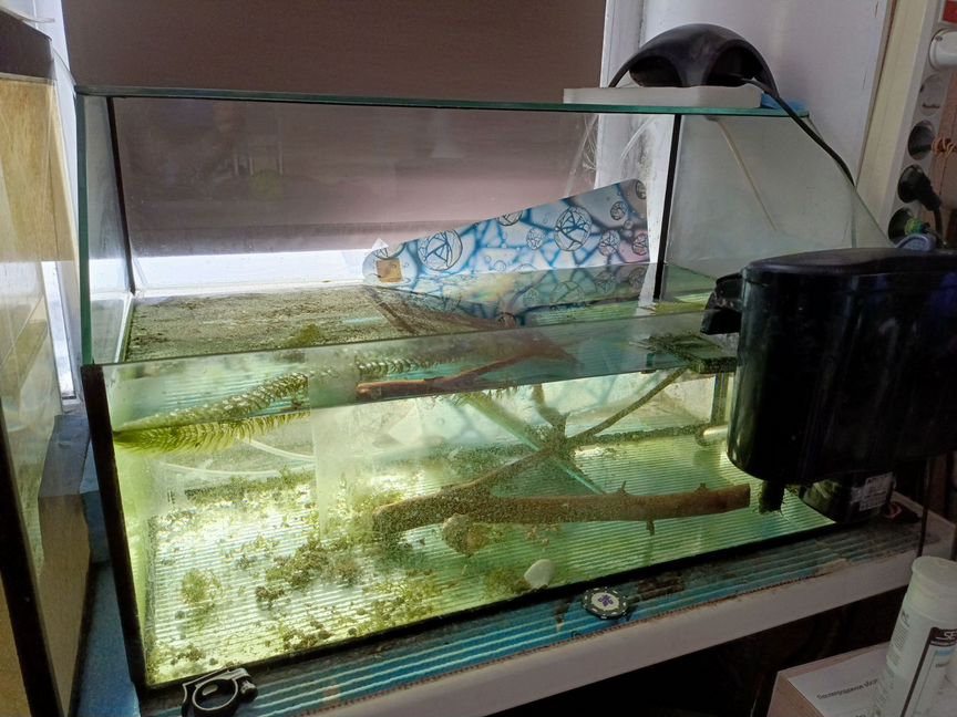 Аквариум акватеррариум для черепах