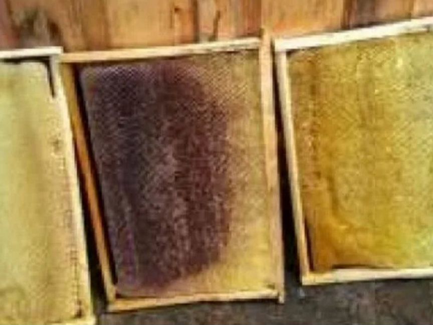 Сушь для пчел