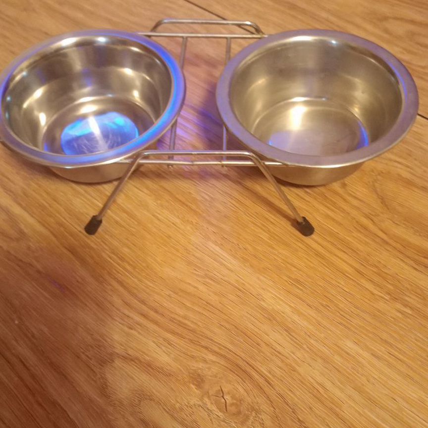 Тарелки для кошек/собак