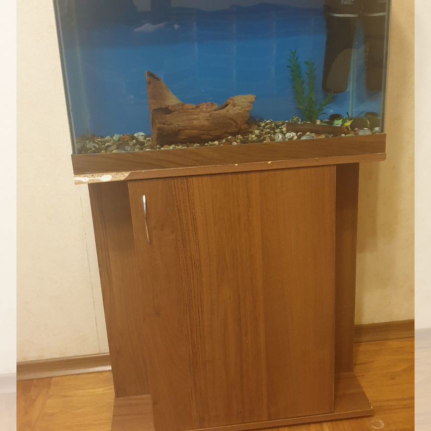 Аквариум 80 л. с тумбой