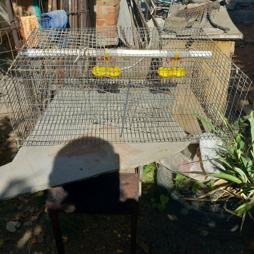 Клетки для перепелов