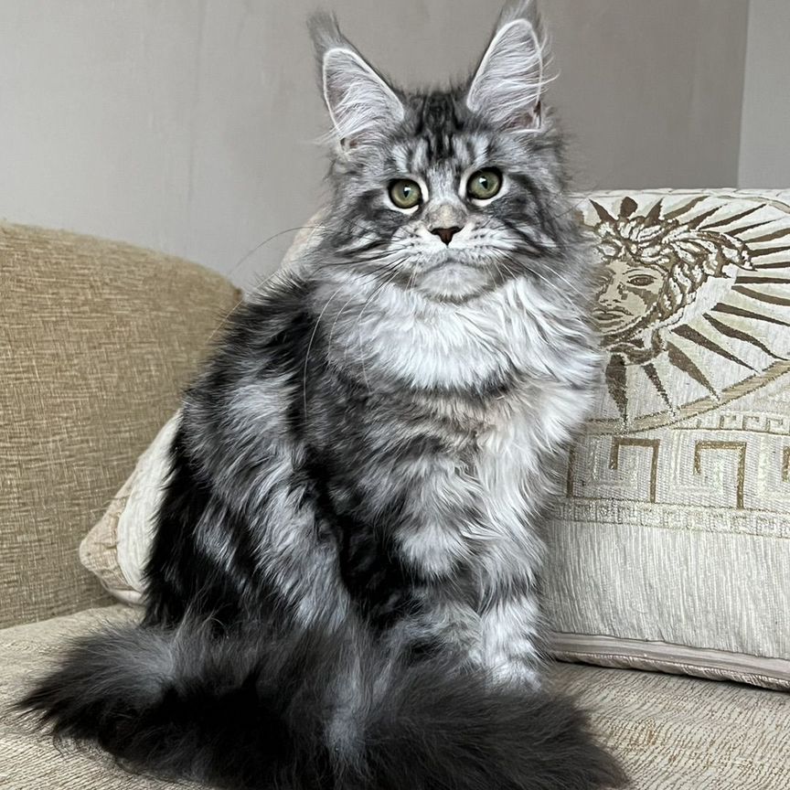 Прекрасная девочка