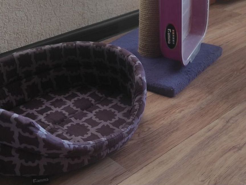 Туалет лоток, когтеточка, лежанка для кошек