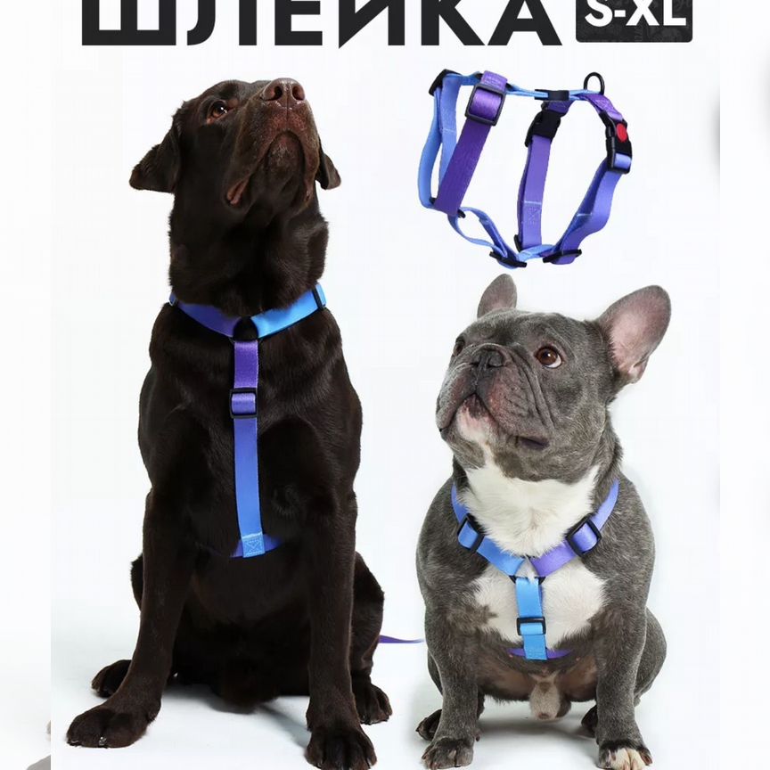 Шлейка lionpets M