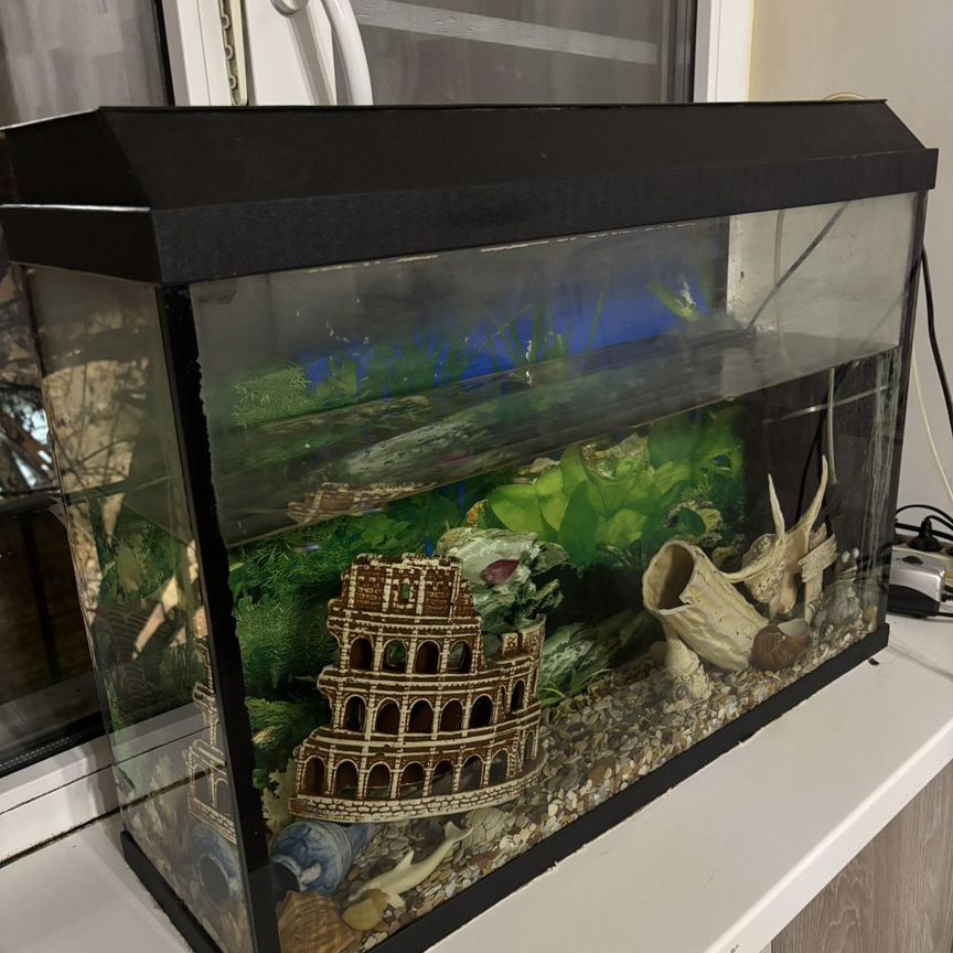 Аквариум с рыбками