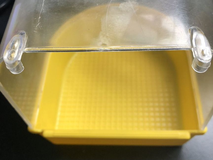 Товары для животных