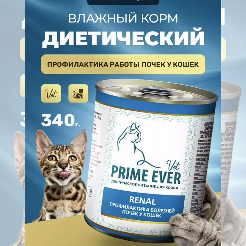 Корм для кошек влажный