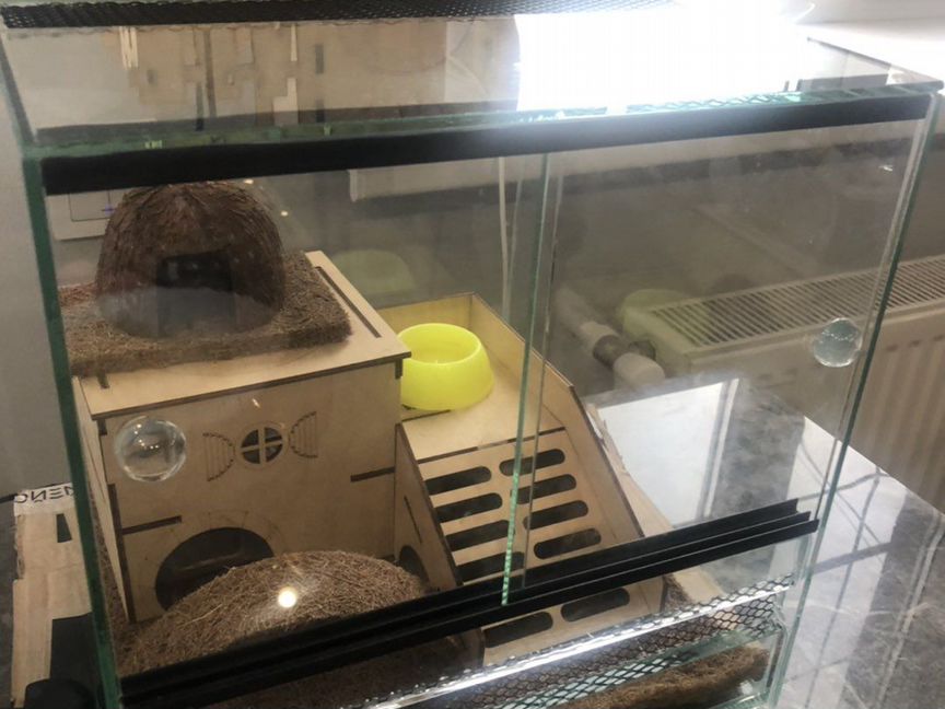 Террариум для рептилий, паука, эублефара