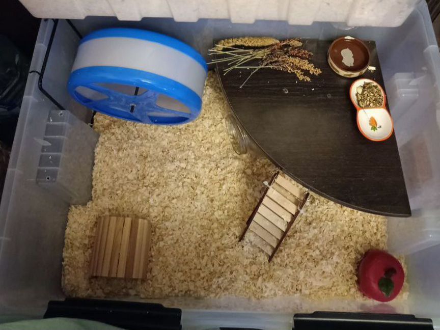 Клетка-контейнер для хомяка