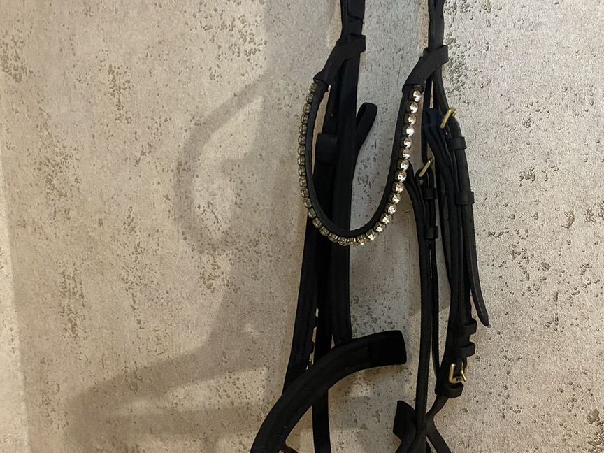 Уздечка для лошади бу