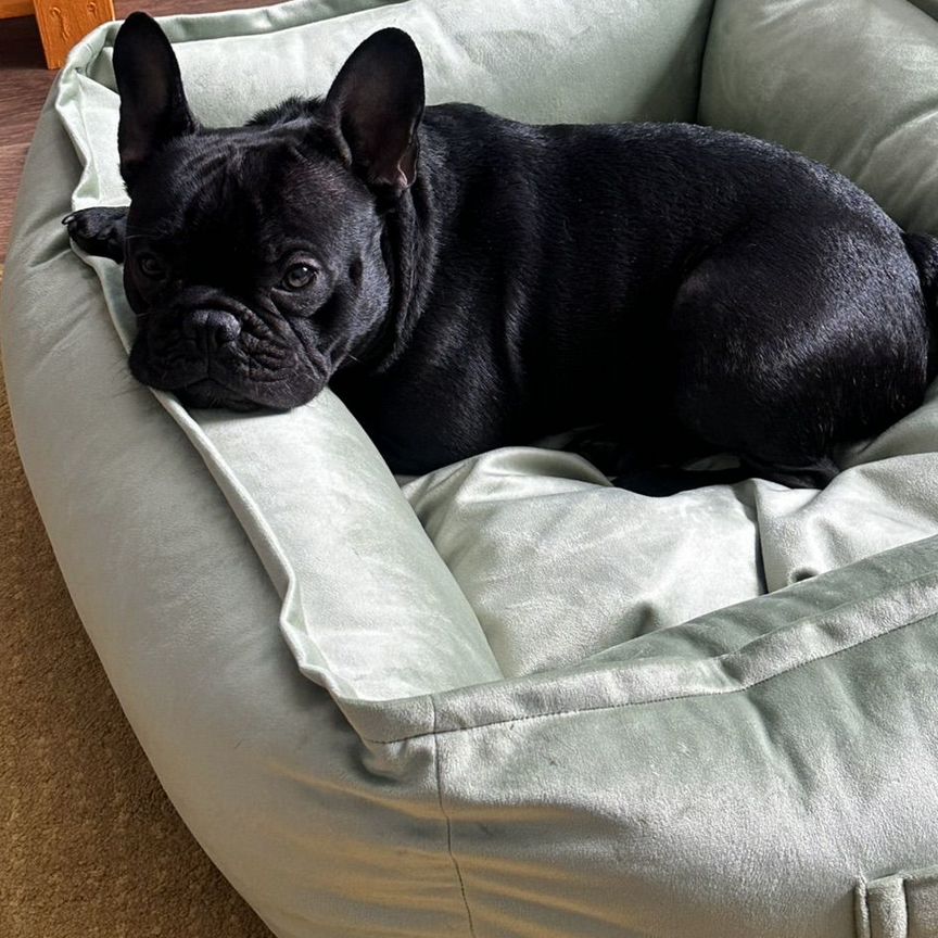 Лежанка для животных