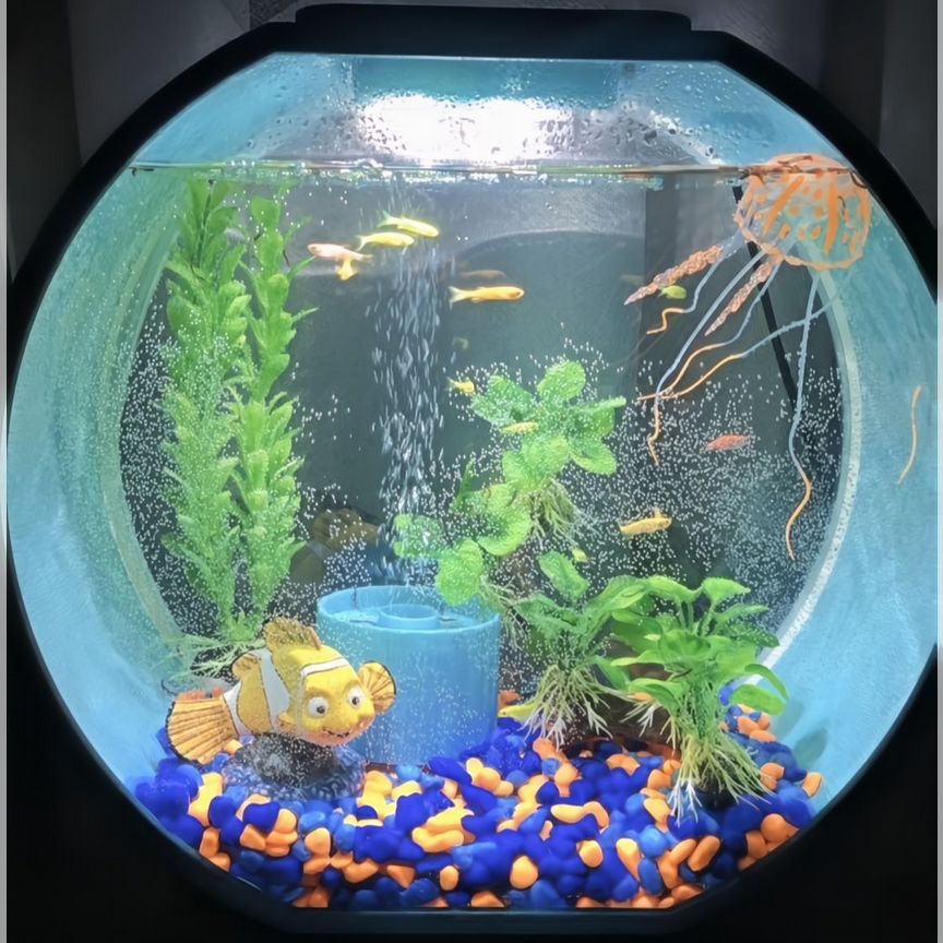 Аквариум Нэмо