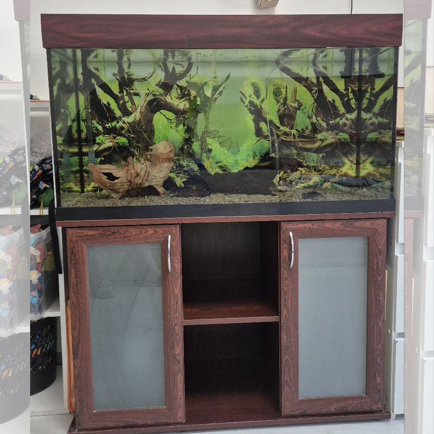 Аквариум с тумбой 200л