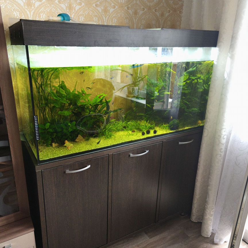Аквариум с тумбой. Забронировано