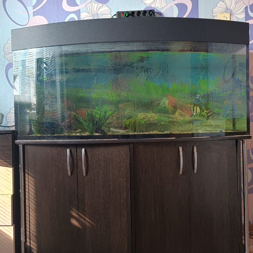 Аквариум с тумбой 350 литров