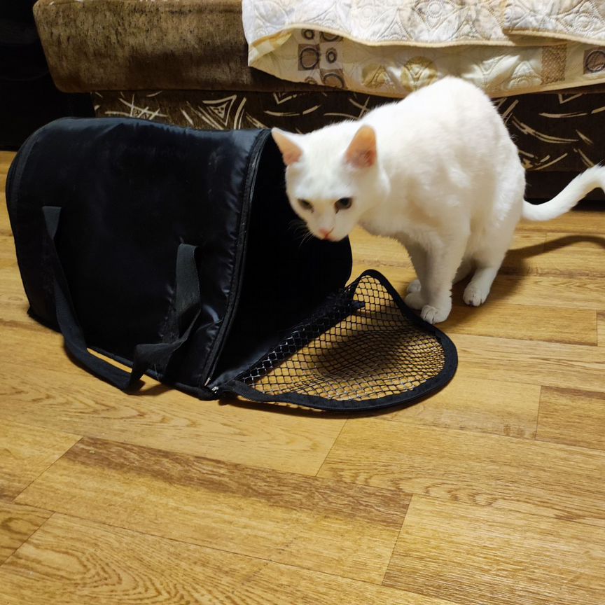 Переноска для друзей наших меньших