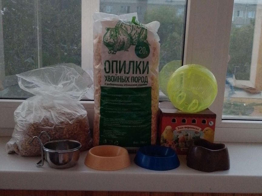 Принадлежности для животных