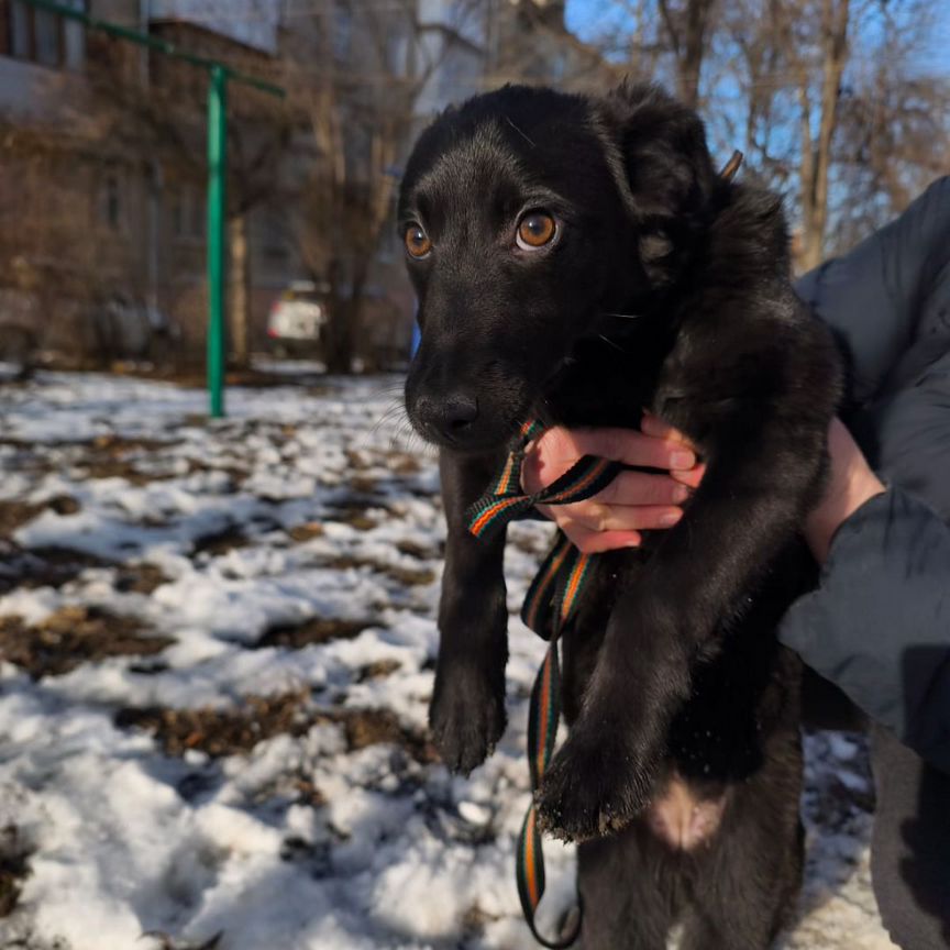 Малышка ищет дом