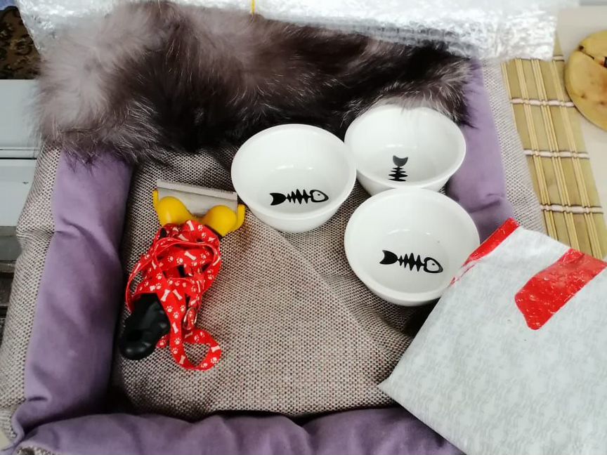 Лежанка и чашки для кошки