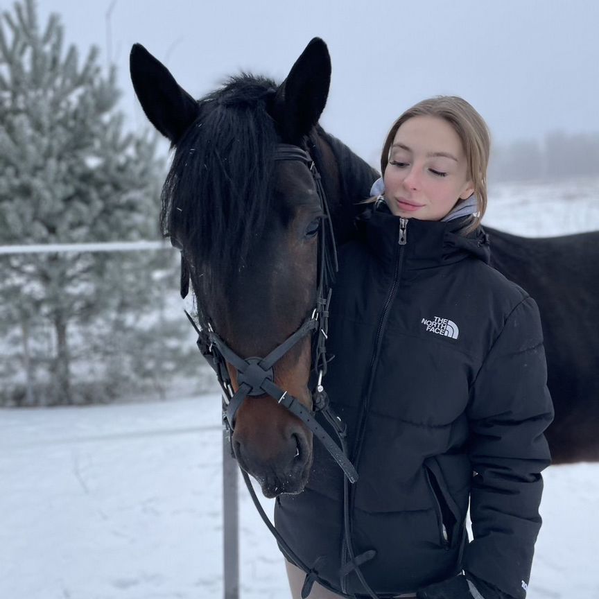 Попона колокольчики недоуздок