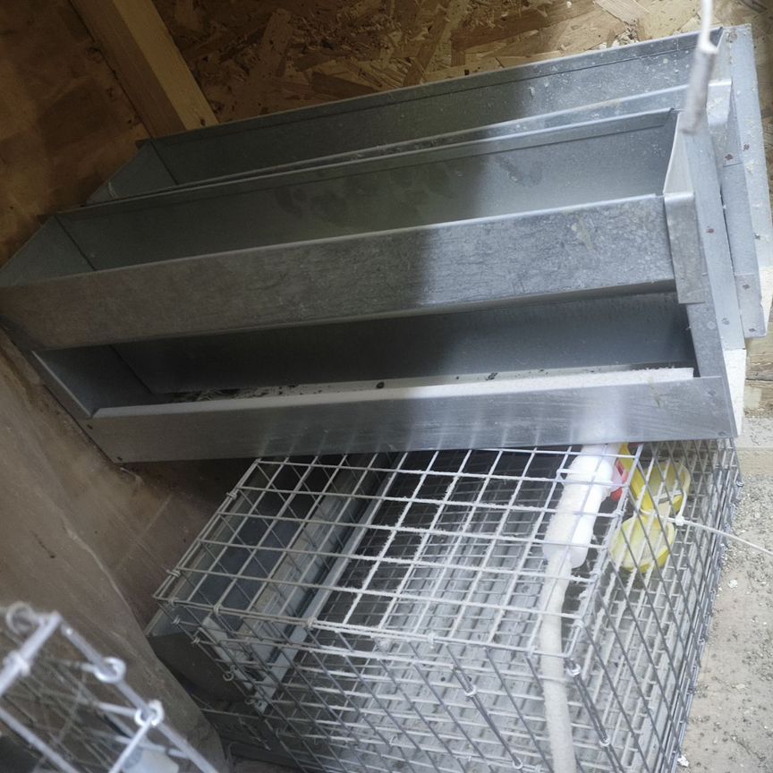 Клетка для перепелок бу