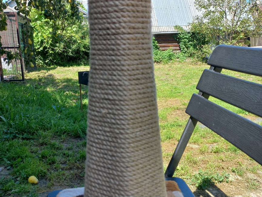 Когтеточка для кошек